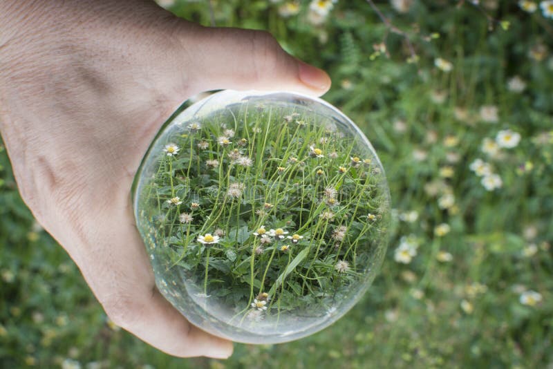 Capturing Objects or Scenes Photography through Crystal Ball Refraction ...