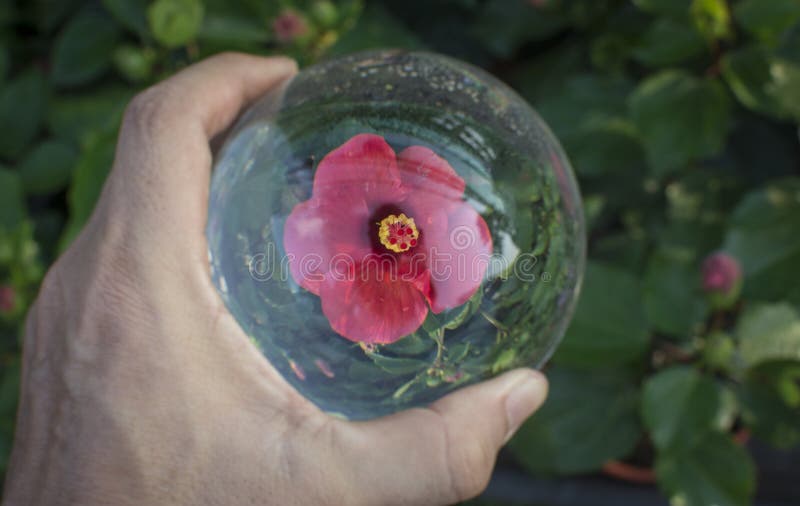 Capturing Objects or Scenes Photography through Crystal Ball Refraction ...