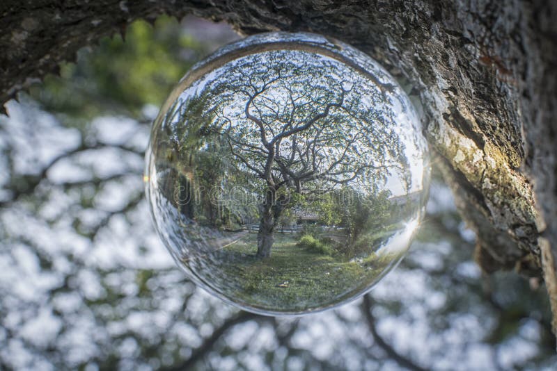 Capturing Objects or Scenes Photography through Crystal Ball Refraction ...