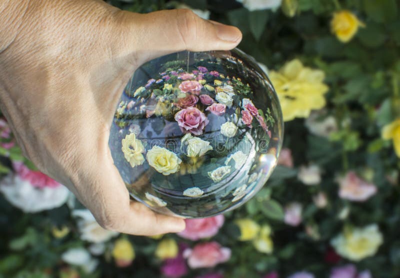 Capturing Objects or Scenes Photography through Crystal Ball Refraction ...