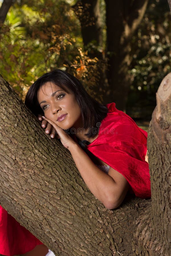 Peu De Capuchon Rouge Se Tenant Piaulant Sous Son Capot Photo stock ...