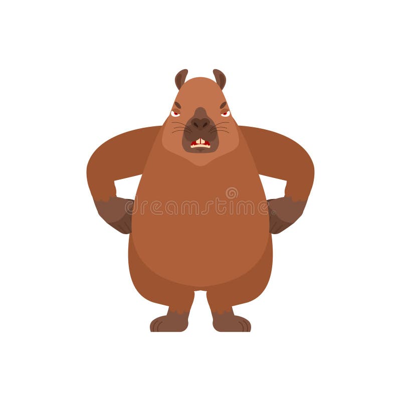 Capybara Angry. Wild Animal Evil Stock Vector - Illustration of icon ...