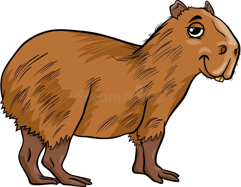 Capybara Cartoon Stock Illustrations – 7,386 Capybara Cartoon Stock ...