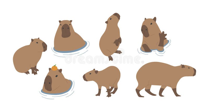 Capybara cute 2 stock vector. Illustration of hairy - 277425251