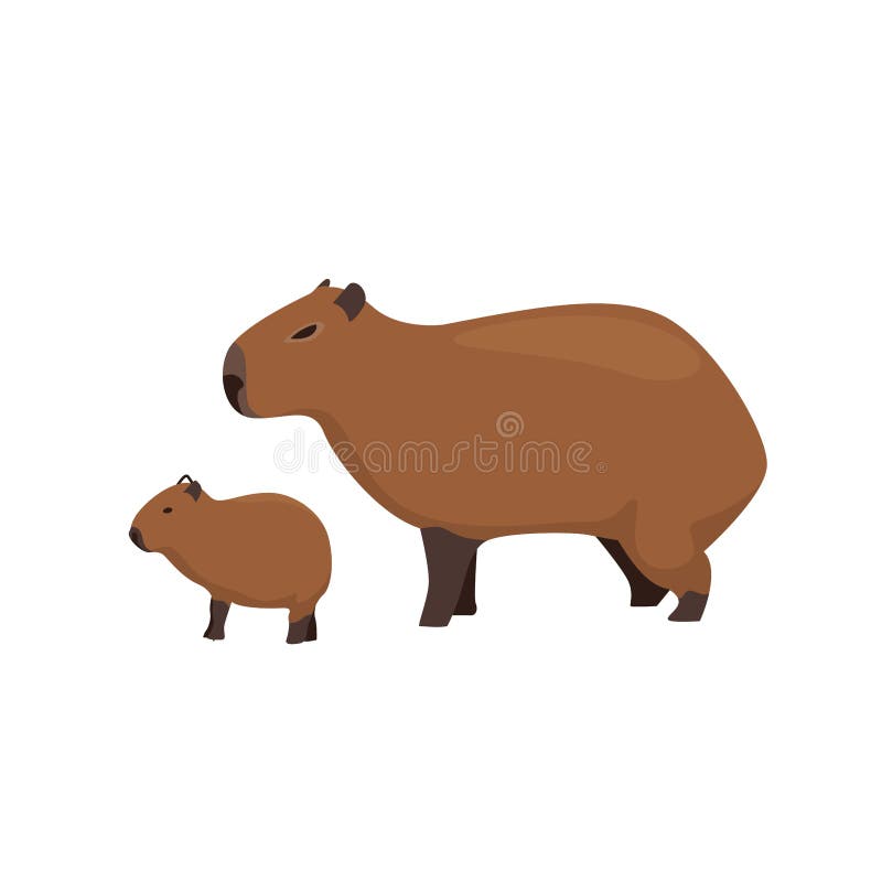 Capybara Family Animal Flat Vector Stock Vector - Illustration of large ...