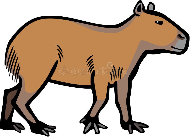 Capybara Stock Illustrations – 2,210 Capybara Stock Illustrations ...