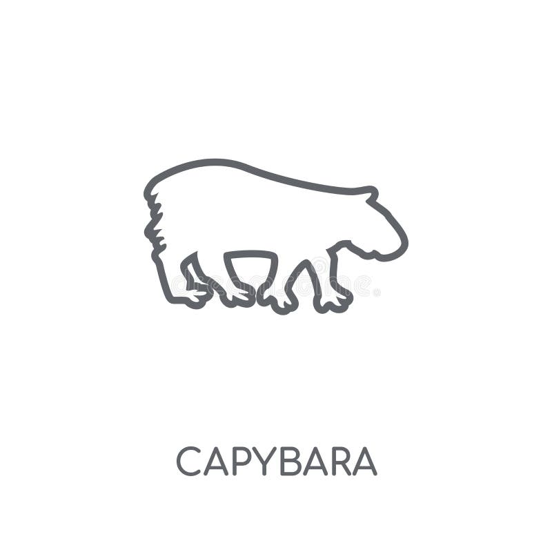 Outline Capybara Logo Concept Stock Illustrations – 5 Outline Capybara ...