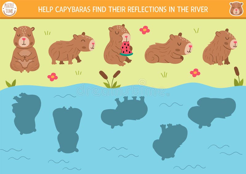 Capybara Shadow Matching Activity with Animals Looking for Their ...