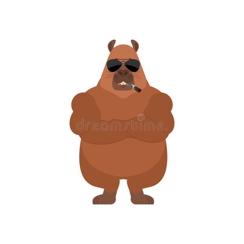 Capybara Strong Cool Serious. Rodent Strict Stock Vector - Illustration ...