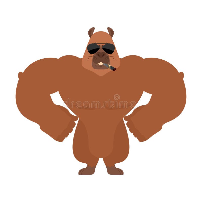 Capybara Strong Cool Serious. Rodent Strict Stock Vector - Illustration ...