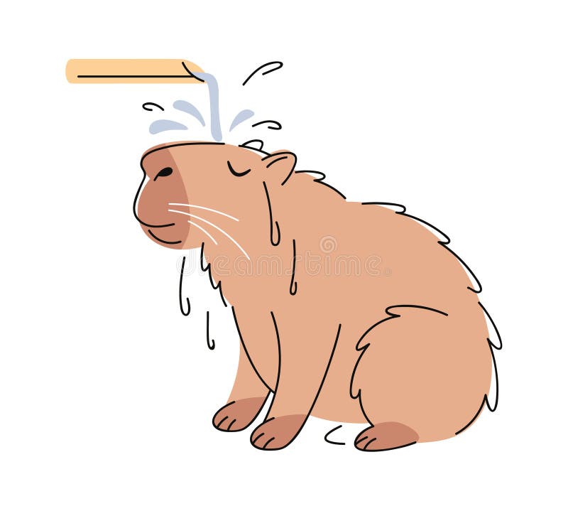 Capybara Washing Stock Illustrations – 13 Capybara Washing Stock ...