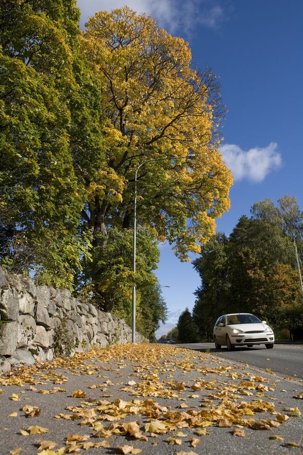 Car in Autumn stock image. Image of nature, line, forest - 25252767