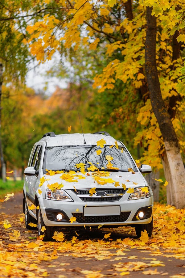 Car in autumn forest stock photo. Image of action, powerful - 47671470