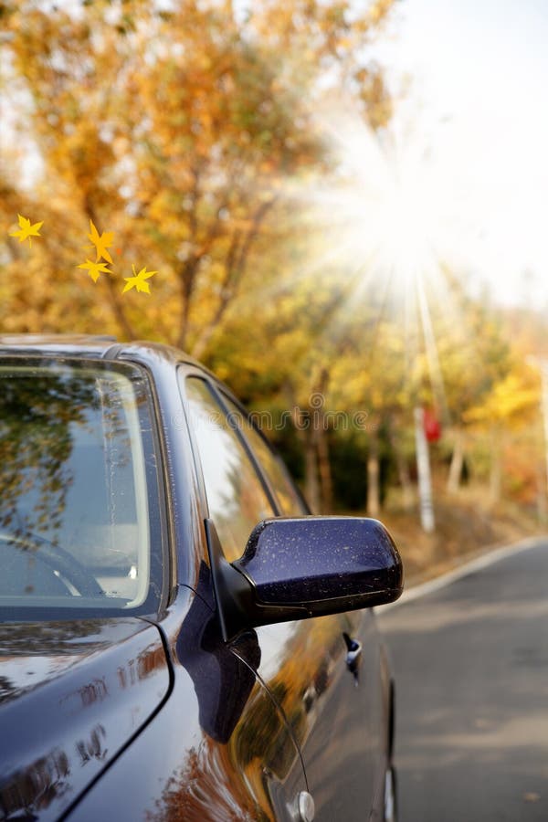 Autumn road with car stock photo. Image of nature, speed - 12629294