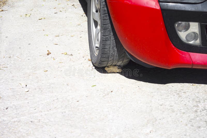 Car without brake stock photo. Image of wheel, break - 198953530