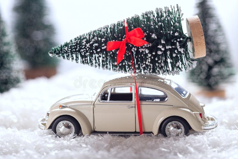 Car Carrying a Christmas Tree in Snow Covered Miniature Evergreen ...