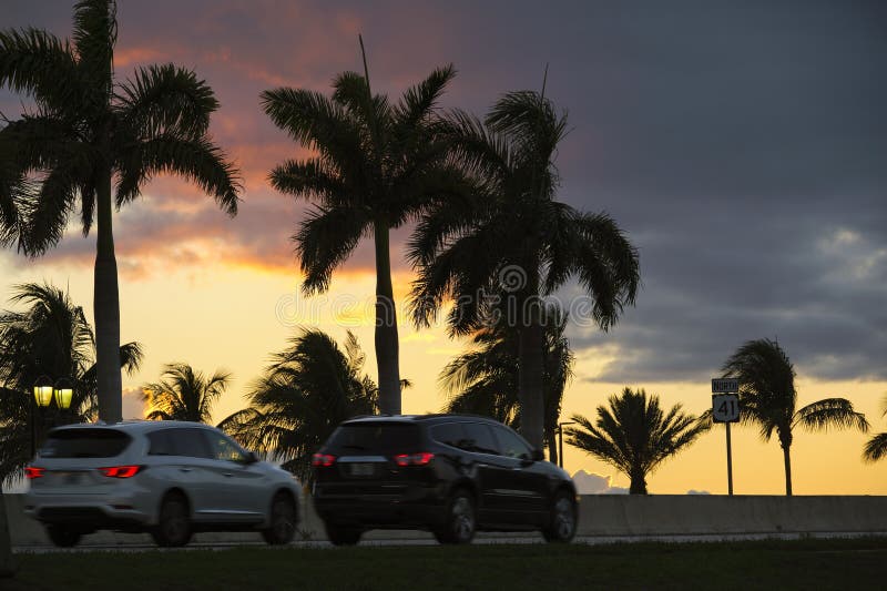 Car Driving on American Road Under Palm Trees at Florida Sunset Stock ...