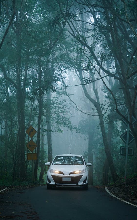 Car Driving in Dark and Foggy Forest Road Stock Photo - Image of mist ...