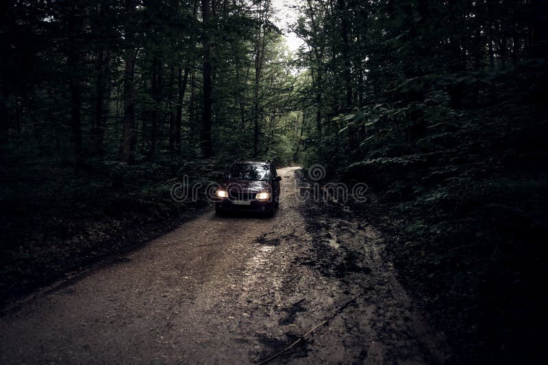 Car driving into a forest. stock image. Image of forest - 187560949