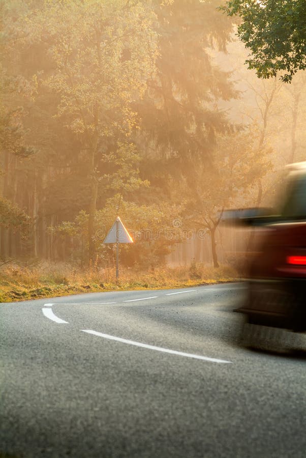 Car Driving by on a Forest Road during Fall Stock Image - Image of ...