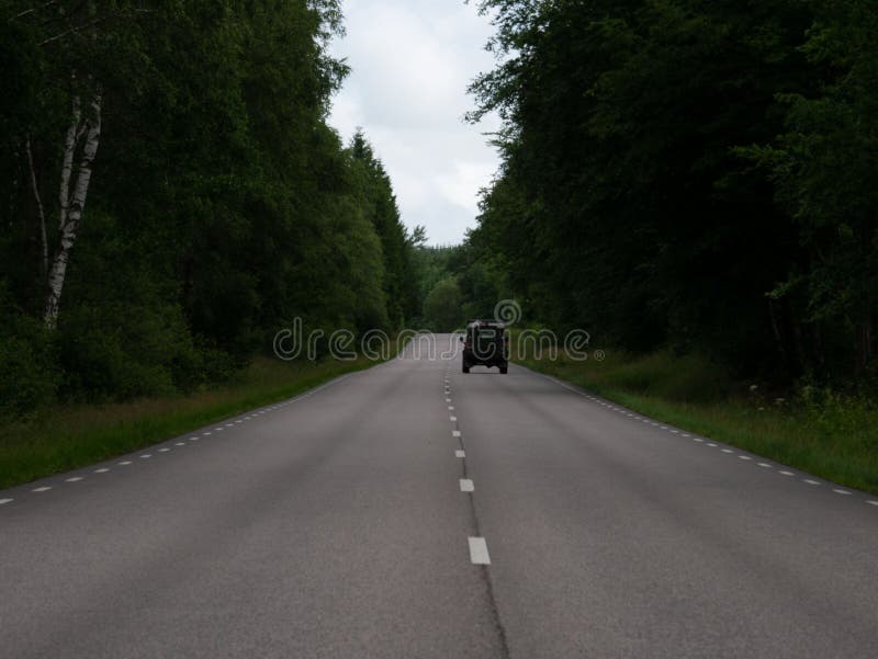 Car Driving on an Open Road Surrounded with Evergreen Trees Stock Photo ...