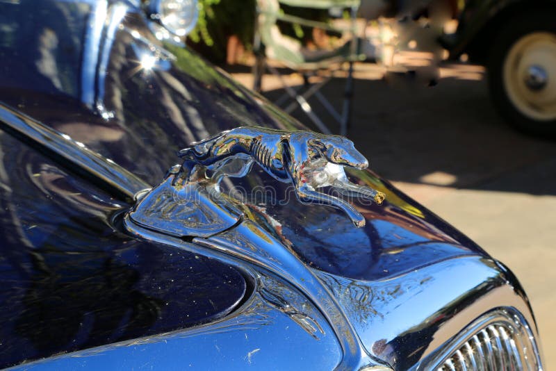 Car emblem stock photo. Image of automobile, custom, collectibles ...