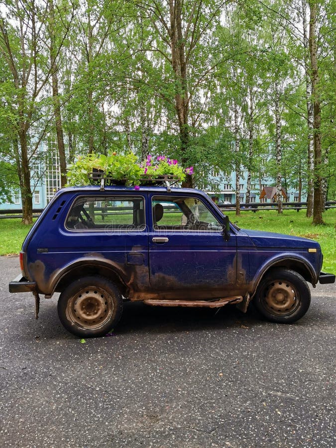 305 Jeep Flower Stock Photos - Free & Royalty-Free Stock Photos from ...