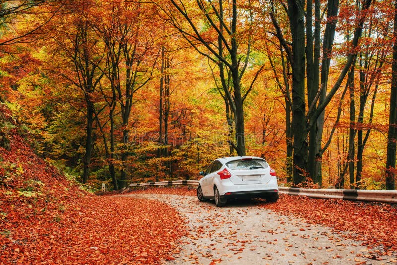 Car on a Forest Path. Beautiful Road in Mountains Ukraine Stock Image ...