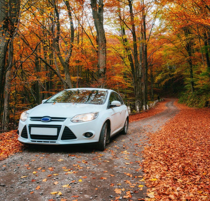 Car on a Forest Path. Beautiful Road in Mountains. Carpathian Stock ...