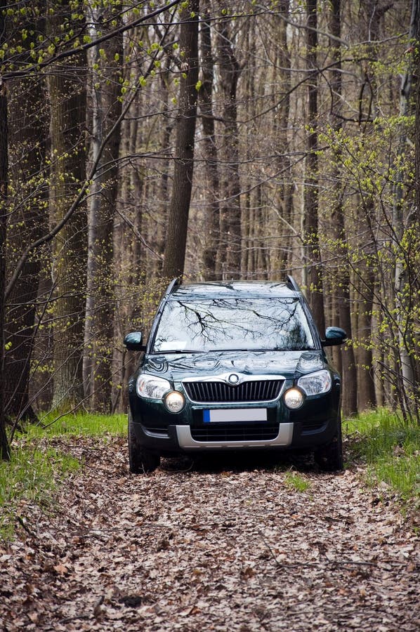 Car on forest road stock image. Image of drive, rural - 17925499
