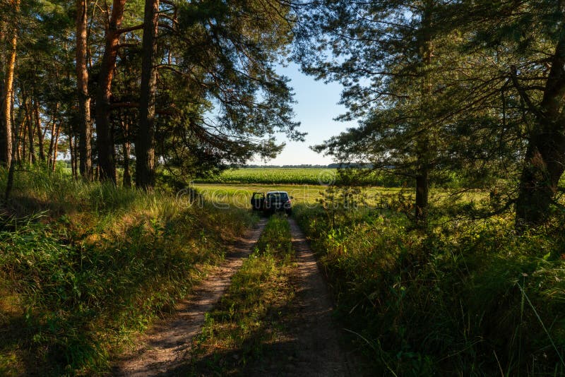 Car on Forest Road with Open Doors Stock Photo - Image of tree, woodland: 399083504