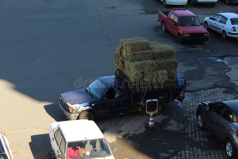 A Car is Full of Hay Bales on Back Stock Photo - Image of food, asia ...