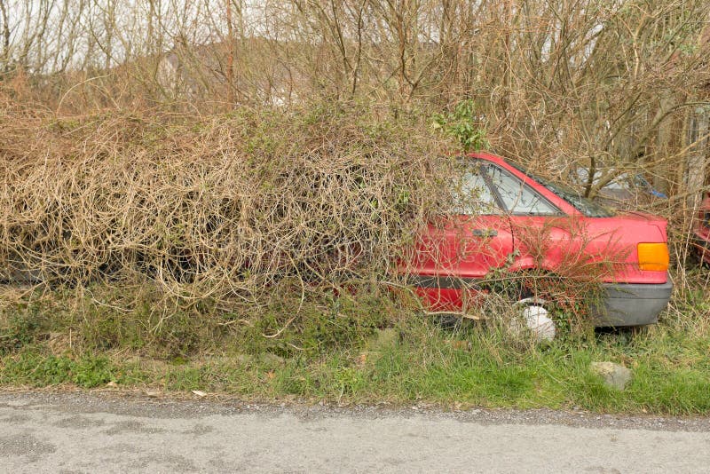 767 Car Hedge Stock Photos - Free & Royalty-Free Stock Photos from ...