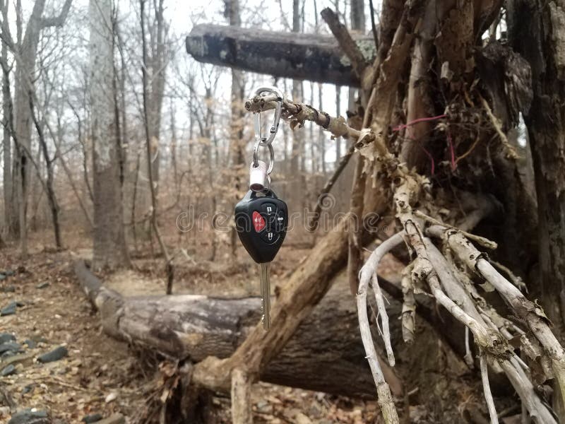 Car Key Hanging on Tree Branch in Forest Stock Image - Image of branch ...