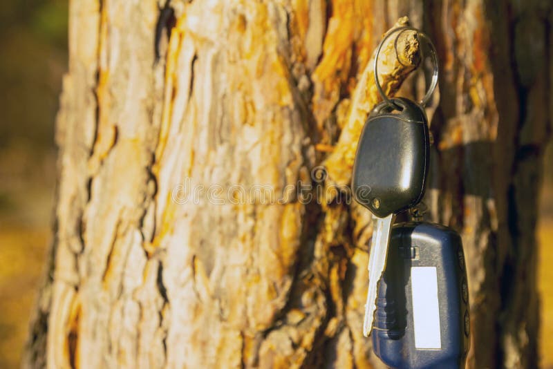 Car Keys with a Key Fob for Alarm Hanging Stock Photo - Image of ...