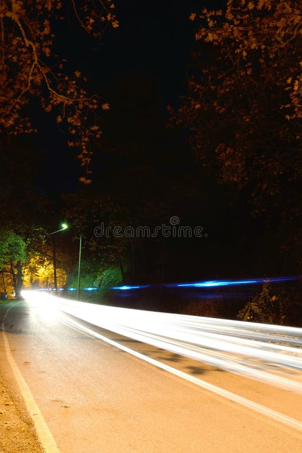 Car Light Trails in the Woods Stock Photo - Image of twilight, night ...