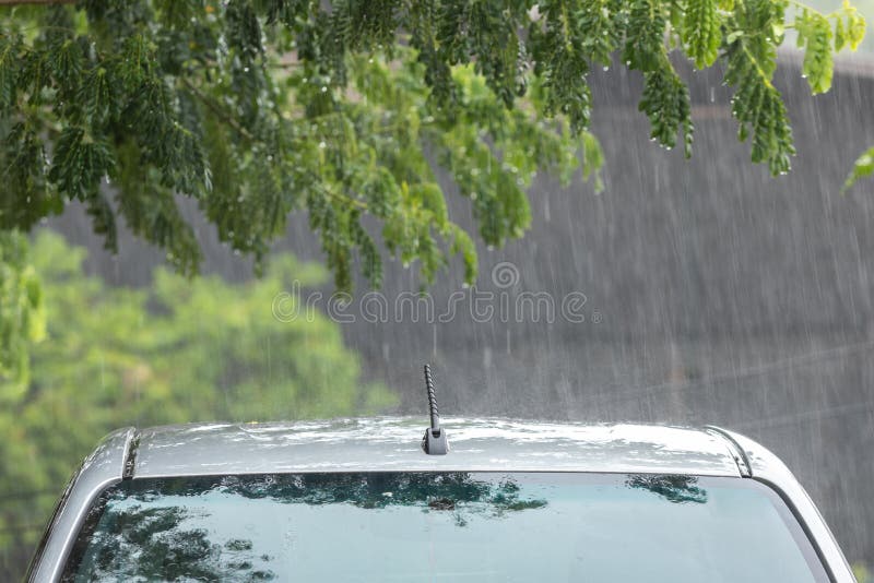 Car Maintenance Concept. Silver Modern Car Parking at Outside Under the ...