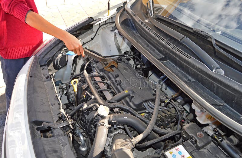 Monkey Logo Id Number Stock Photos - Free & Royalty-Free Stock Photos ...