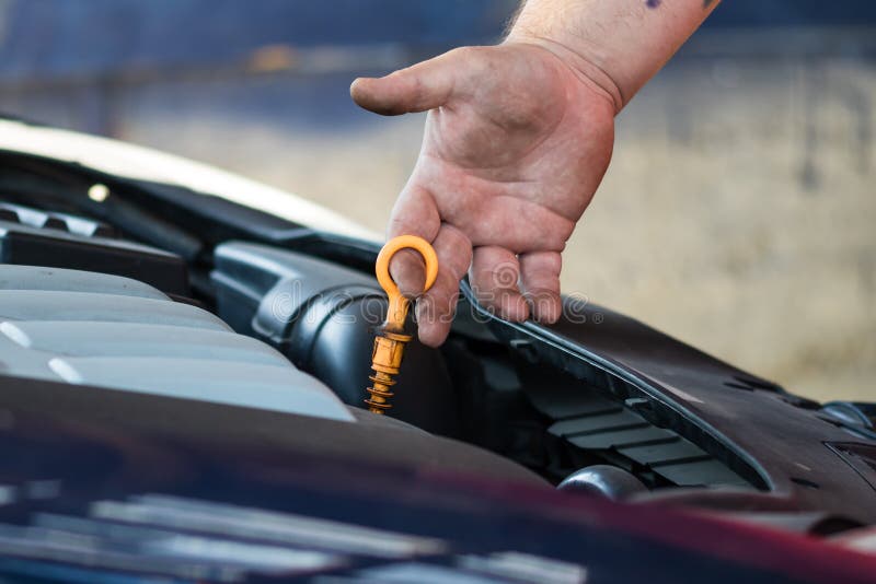 Car Mechanic Checking the Engine Oil Level Stock Photo - Image of ...