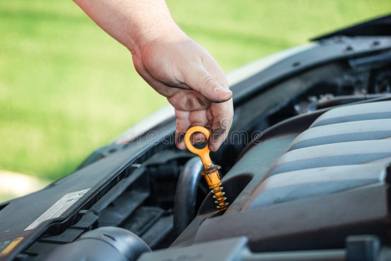 Car Mechanic Checking the Engine Oil Level Stock Photo - Image of ...