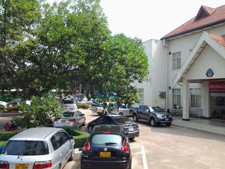 Car park editorial photography. Image of tree, park, parking - 45599547