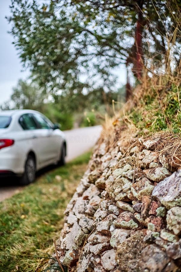 Car Parked Near a Stone Wall. Hanging Tree Over the Road Stock Image ...