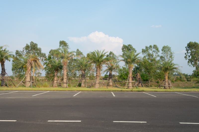 Car parking lot outdoor stock image. Image of park, blue - 133977439