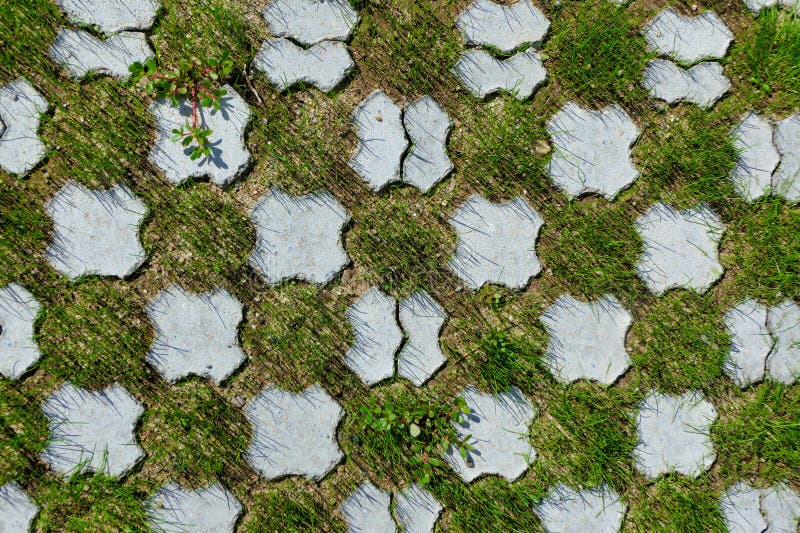 Car Parking Space stock image. Image of outdoor, rows - 336250577