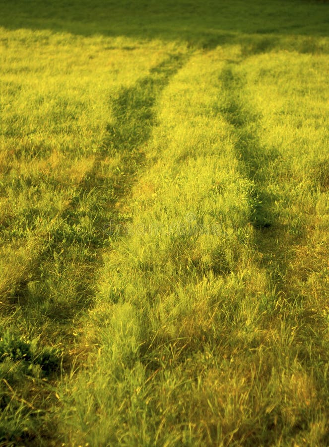 Car Path through the Green Grass Stock Image - Image of field, scene ...
