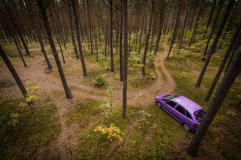 Luxury White Car in the Dark Forest Stock Photo - Image of drive ...