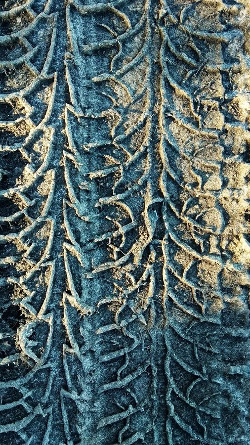 Car wheels marks stock image. Image of extreme, dune - 191834393