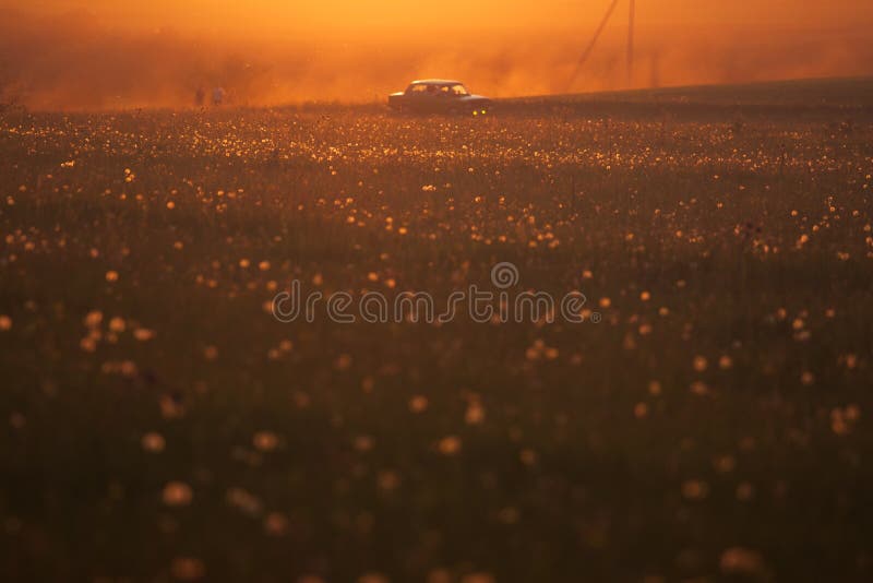 Car Rides at Sunset on Meadow Stock Photo - Image of automobile, summer ...