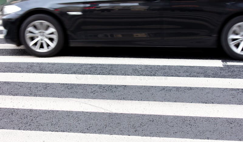 The Car Rides on a White Zebra on an Asphalt Road Stock Image - Image ...