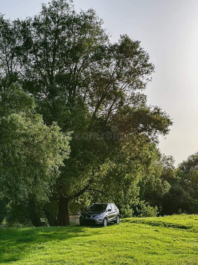 Car at Riverside at Sunset at Summer Day Stock Photo - Image of ...